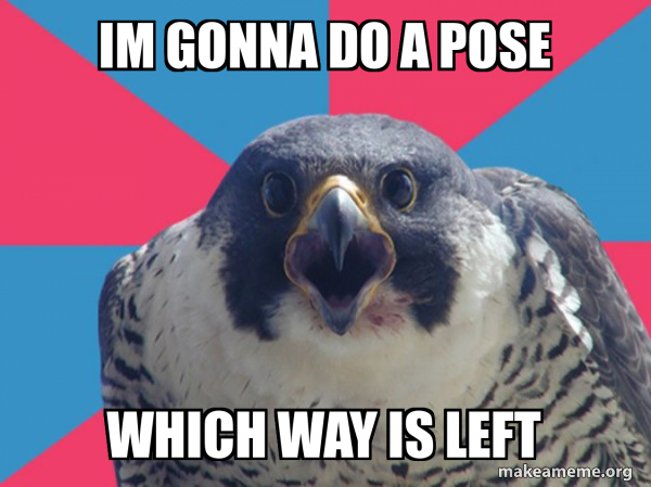 im gonna do a pose which way is left - Millennial Falcon Meme Generator