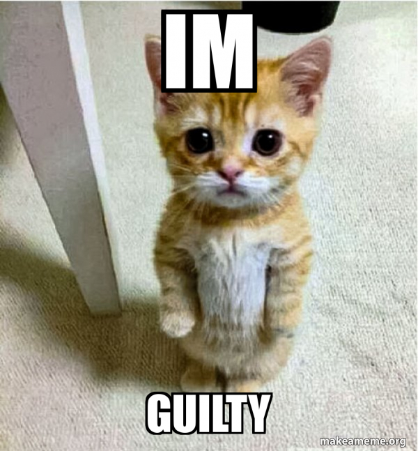 Im Guilty - Cute Cat Standing Meme Generator