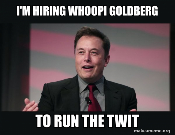 i'm hiring whoopi goldberg to run the twit - Elon Musk Meme Generator
