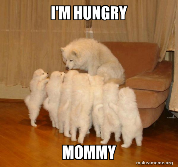 I'm hungry mommy - Storytelling Dog Meme Generator