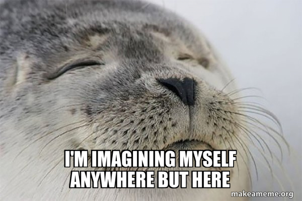 I'm imagining myself anywhere but here - Satisfied Seal Meme Generator