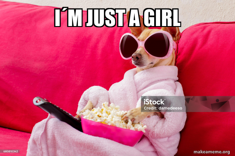 I´M JUST A gIRL Meme Generator