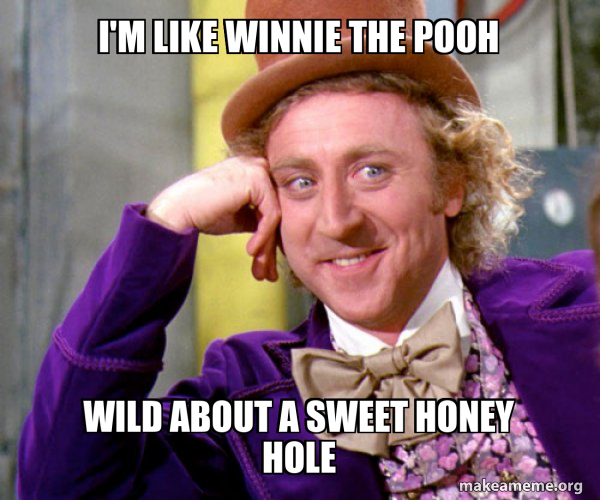 i'm like winnie the pooh wild about a sweet honey hole - Willy Wonka ...