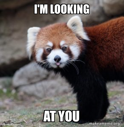 i'm looking at you Meme Generator