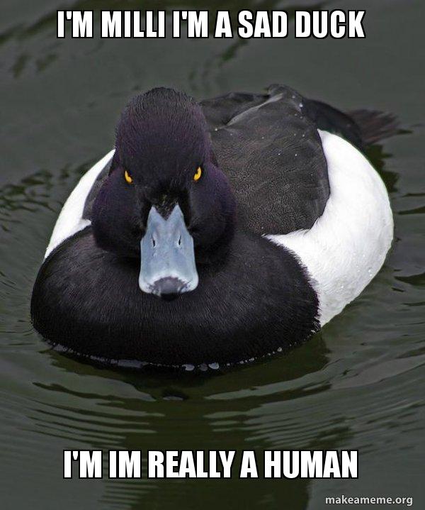 i'm milli i'm a sad duck i'm im really a human - Revenge Duck ( Angry ...