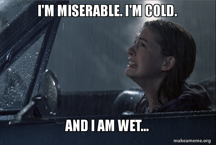 I'm miserable. I'm cold. And I am wet... Meme Generator