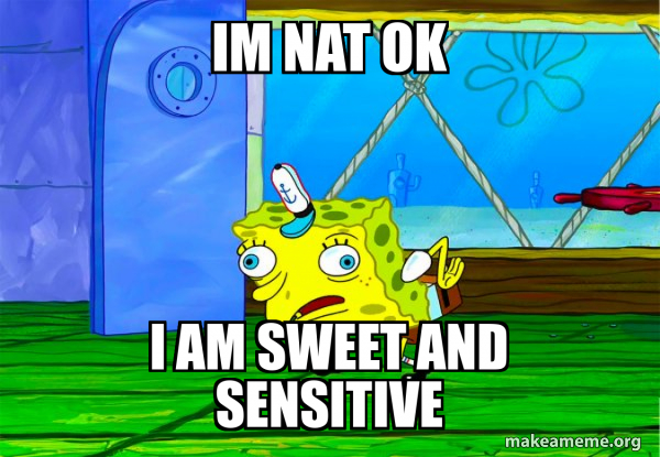 IM NAT OK i am sweet and sensitive - Mocking SpongeBob Meme Generator