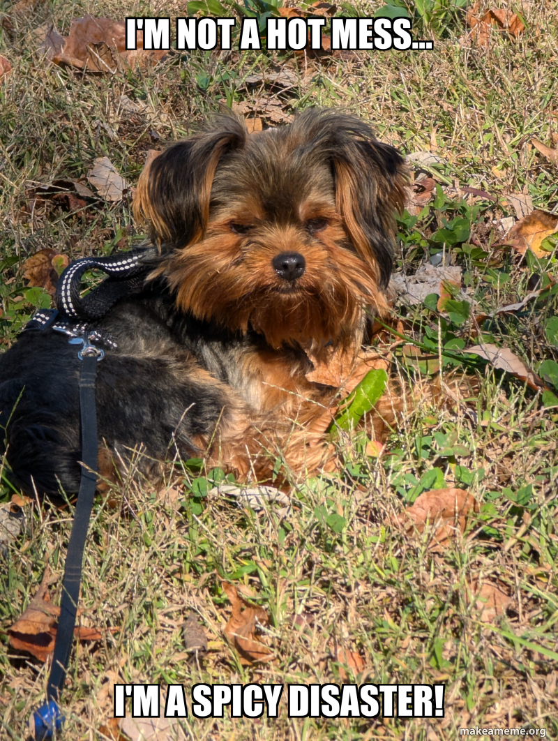 I'm not a hot mess... i'm a spicy disaster! Meme Generator