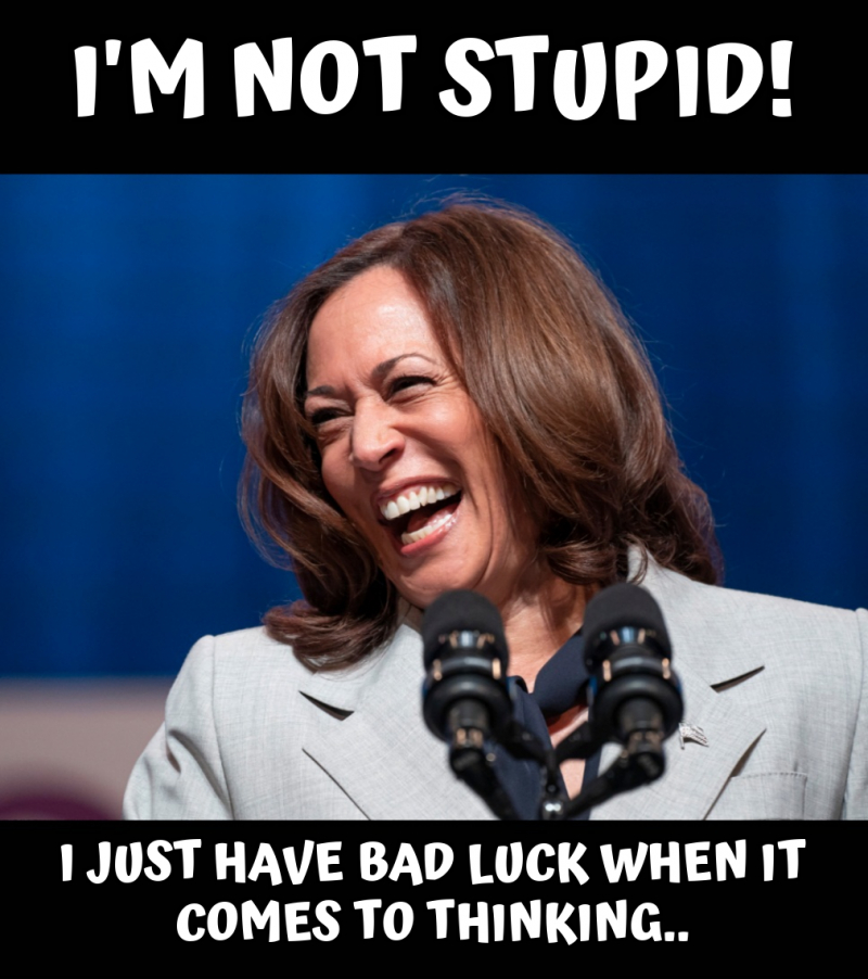 I'm not stupid! I just have bad luck when it comes to thinking.. Meme ...