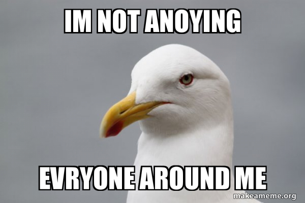 im not anoying evryone around me - Stuff That Didn't Happen Seagull ...