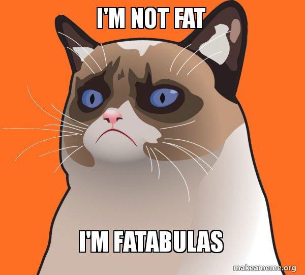 I'm not fat I'm fatabulas - Cartoon Grumpy Cat Meme Generator
