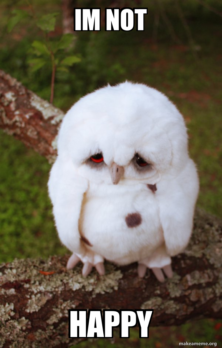 Im not Happy - Sad Owl Meme Generator