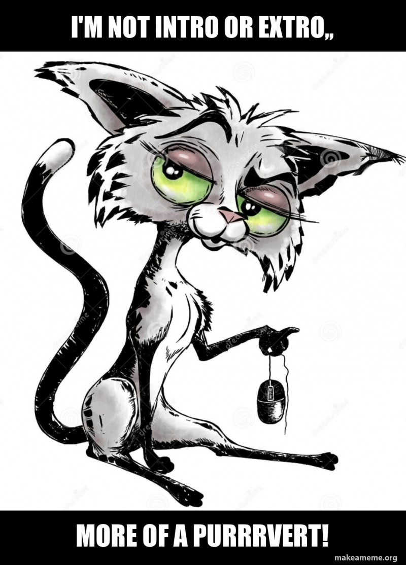 I'm not INTRo or Extro,, More of a purrrvert! Meme Generator