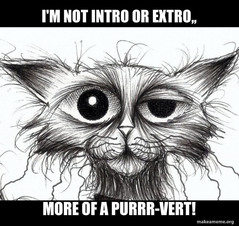I'm not INTRo or Extro,, More of a purrr-vert! Meme Generator