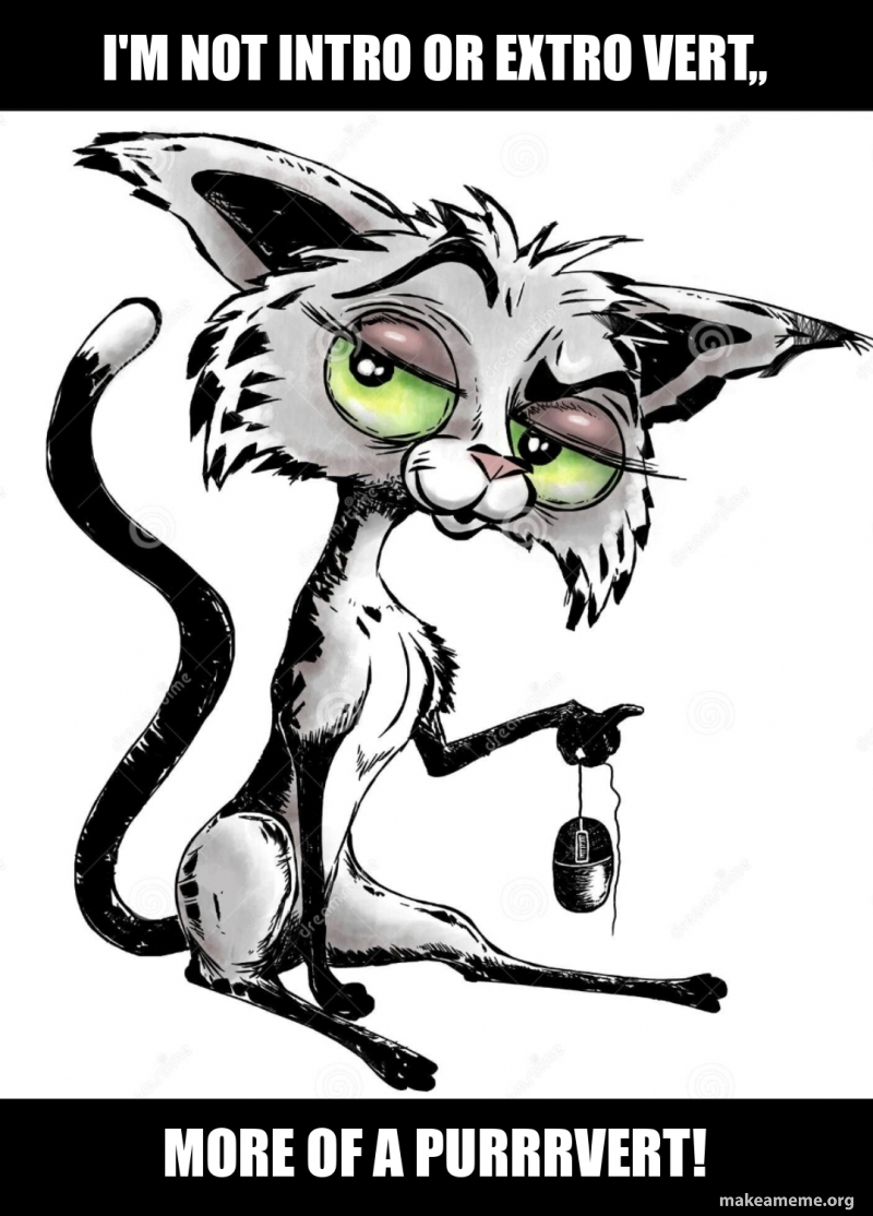 I'm not intro or Extro vert,, More of a purrrvert! Meme Generator