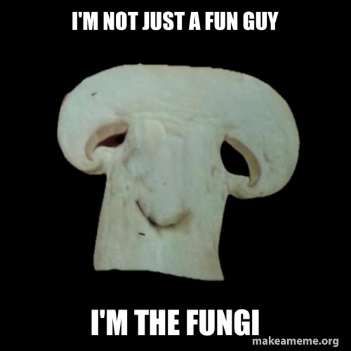 I'm not just a fun guy I'm the fungi Meme Generator