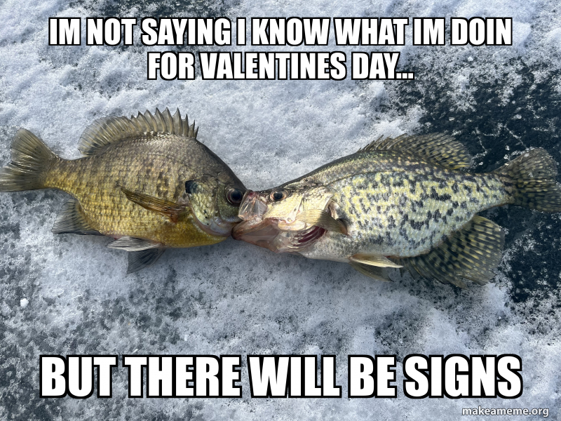 Im not saying i know what im doin for valeNtines Day… But there will be ...