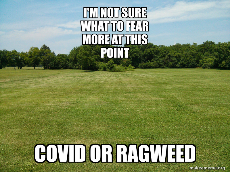 I'm not sure WHAT to fear MORE at this POINT Covid or RAGWEED Meme ...
