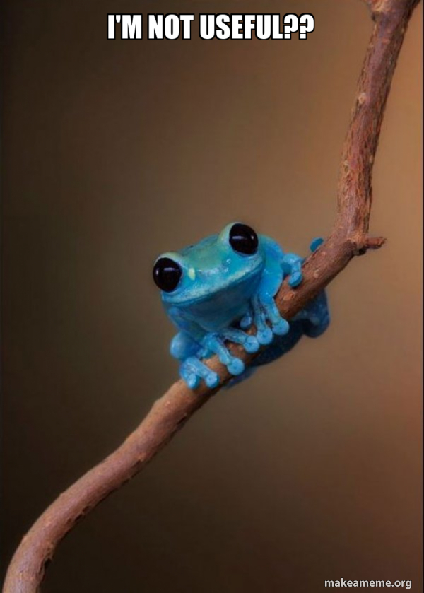 I'm not useful?? - Small Fact Frog Meme Generator