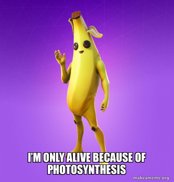 I’m only alive because of photosynthesis - Peely Meme Generator