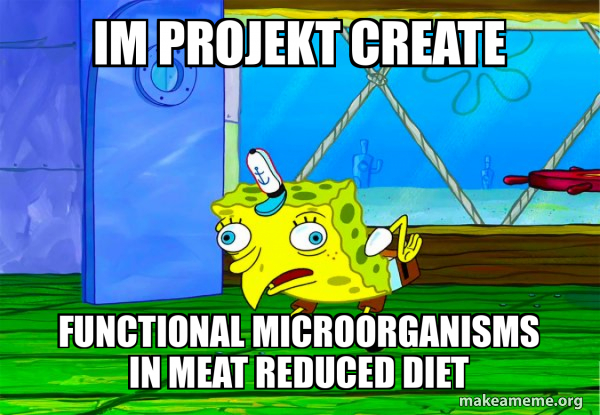 Im projekt create Functional microorganisms in meat reduced diet ...