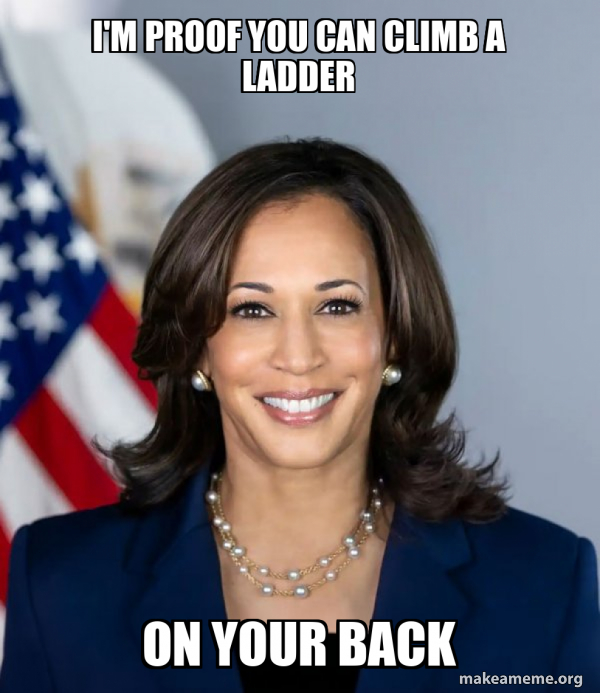 I'm proof you can climb a ladder On your back - Kamala Harris Meme ...
