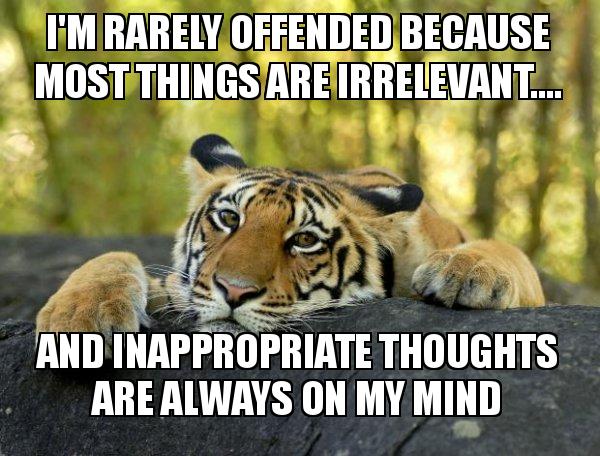i'm rarely offended because most things are irrelevant.... and ...