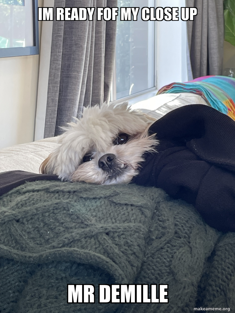 Im ready fof my close up Mr DeMille Meme Generator