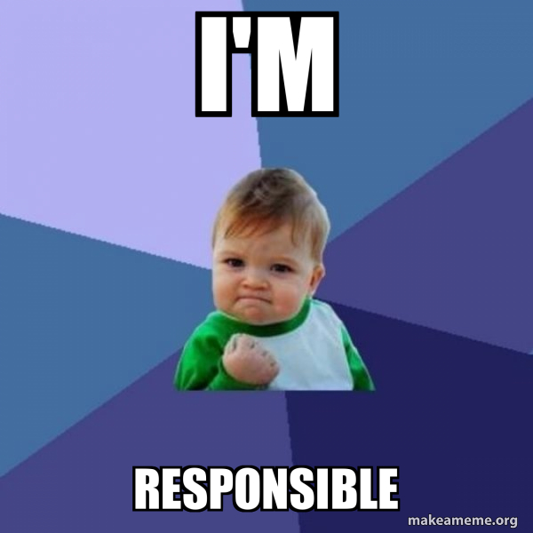 I'm Responsible - Success Kid Meme Generator