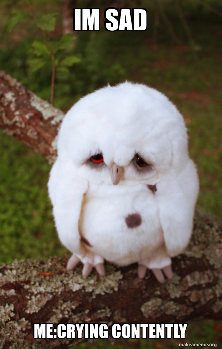 im sad me:crying contently - Sad Owl Meme Generator