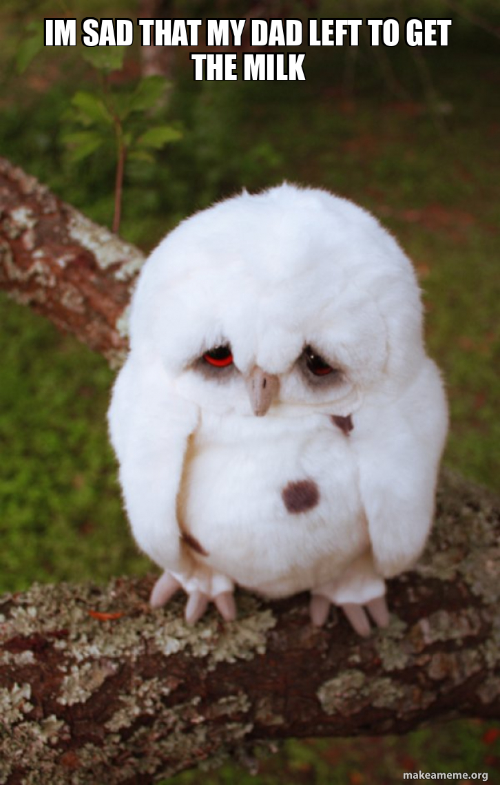 im sad that my dad left to get the milk - Sad Owl Meme Generator