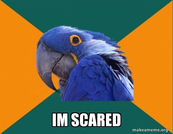im scared - Paranoid Parrot Meme Generator