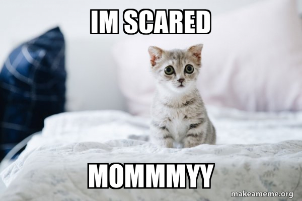 IM SCARED MOMMMYY - Cute Kitten Meme Generator