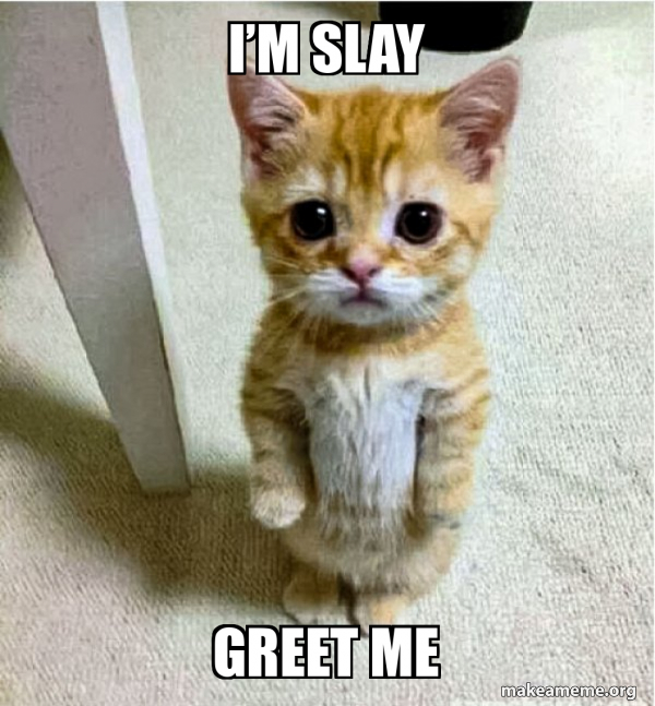 I’m slay Greet me - Cute Cat Standing Meme Generator