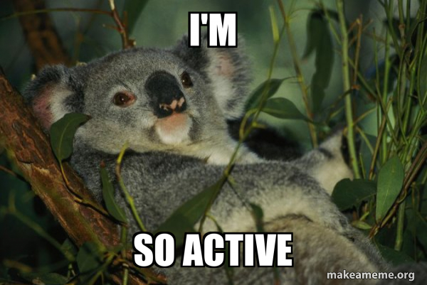 I'm so active - Laid Back Koala Meme Generator