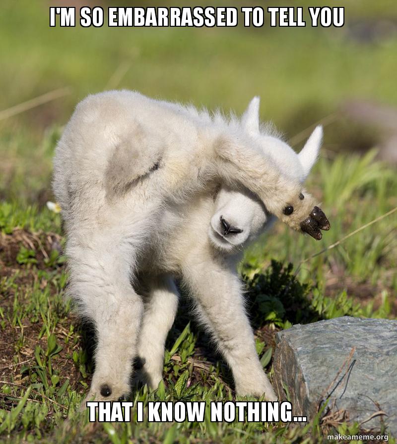 I'm so embarrassed to tell you that I know nothing... Meme Generator