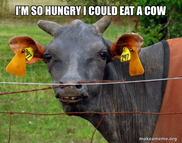I'm so hungry i could eat a cow - Hairless Cow Meme Generator