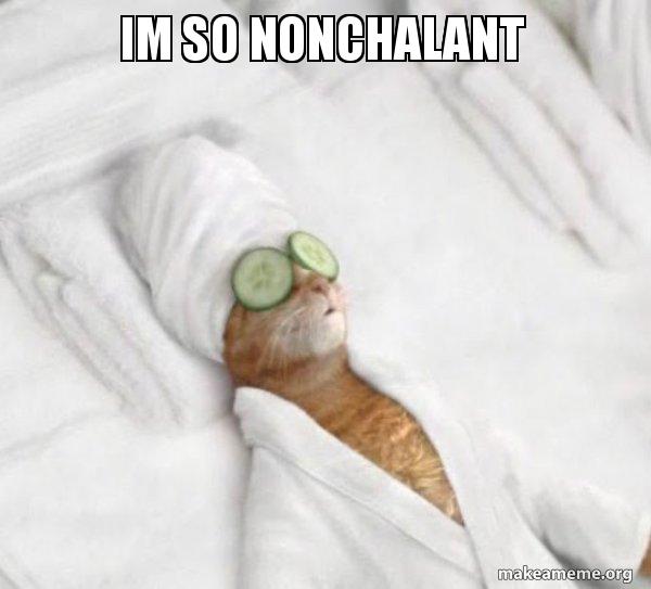 im so nonchalant - Pampered Cat Meme Meme Generator