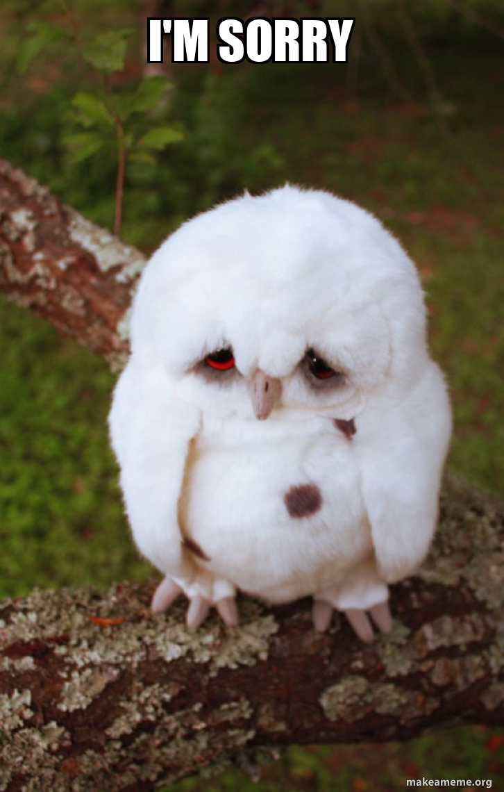 I'm Sorry - Sad Owl Meme Generator