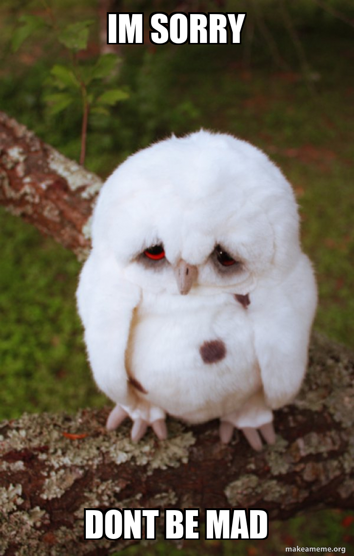 im sorry dont be mad - Sad Owl Meme Generator