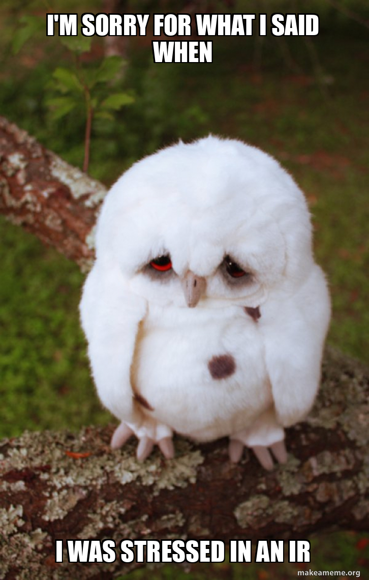 I'm sorry for what I said when I was stressed in an ir - Sad Owl Meme ...