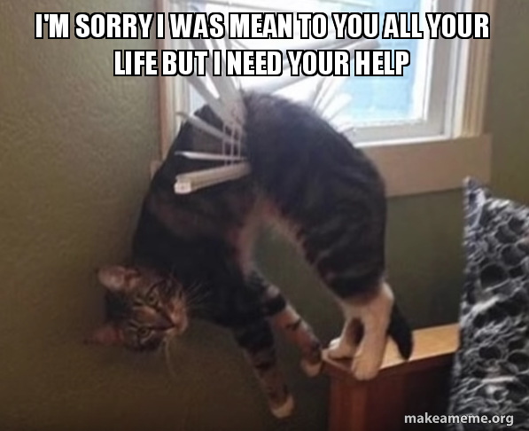i'm sorry i was mean to you all your life but i need your help Meme ...