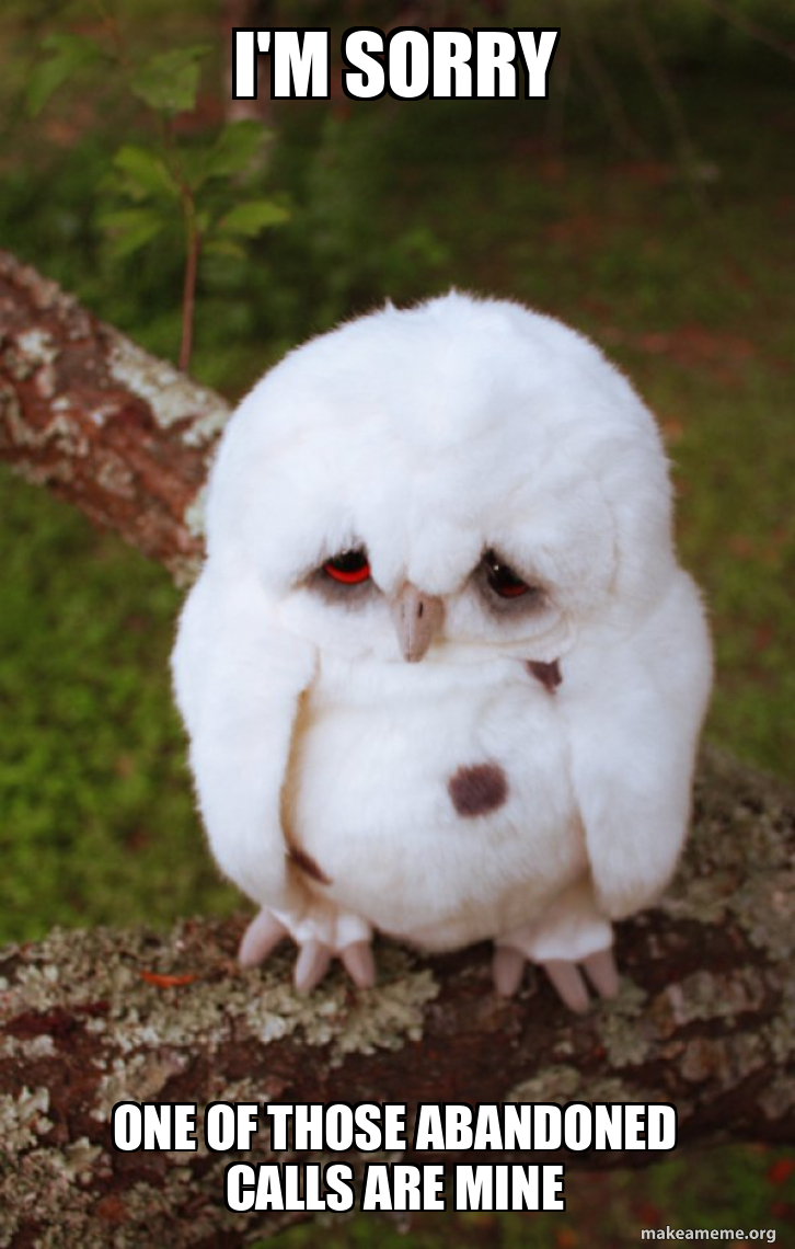 I'm sorry One of those abandoned calls are mine - Sad Owl Meme Generator