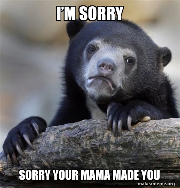 I’m sorry Sorry your mama made you - Confession Bear Meme Generator
