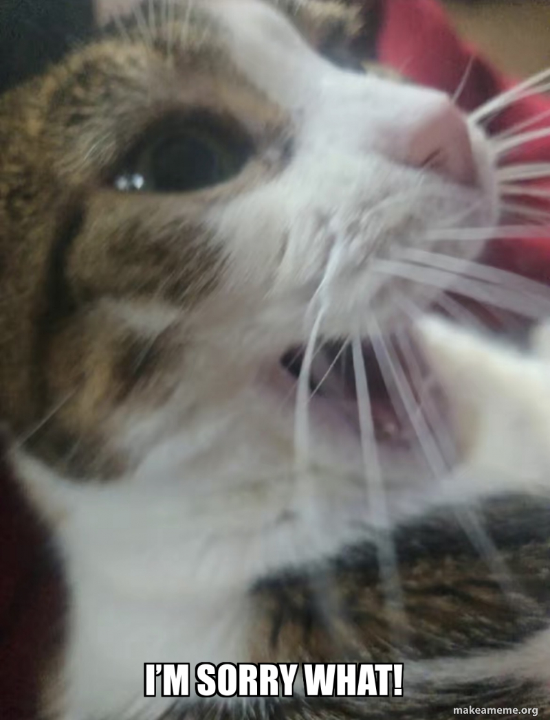 I’m sorry what! Meme Generator