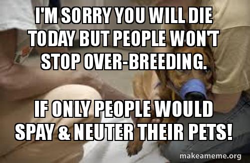 I'm sorry you will die today but people won't stop over-breeding. If ...