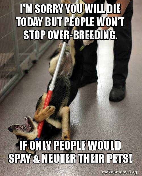I'm sorry you will die today but people won't stop over-breeding. If ...
