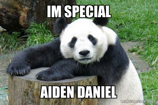 IM SPECIAL Aiden Daniel - Confession Panda Meme Generator
