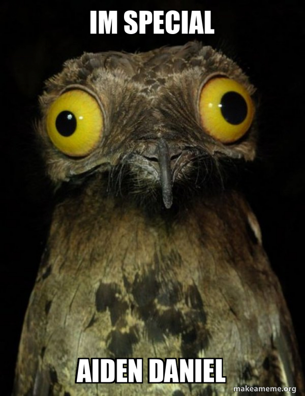 IM SPECIAL Aiden Daniel - Weird Stuff I do Potoo Meme Generator