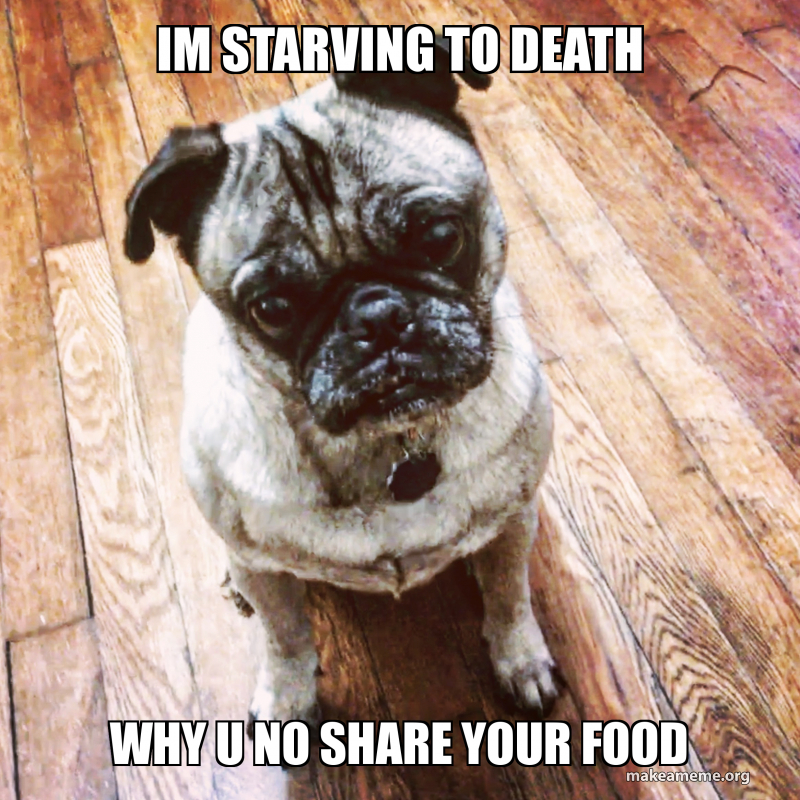 Im starving to death Why u no share your food - GeorgieÃ¢Â€Â™s starving ...